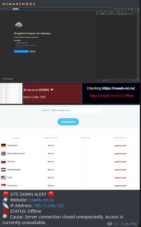 HIMARS DDOS Targeted the Website of RuWeb-NN
