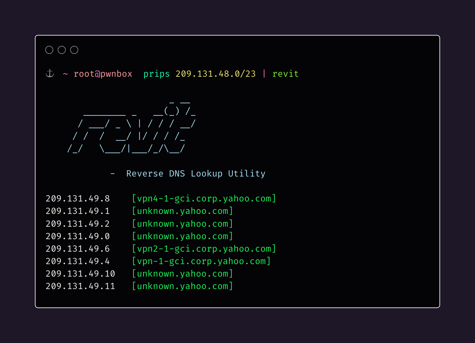 Revit: A Command-line Utility For Performing Reverse DNS Lookups