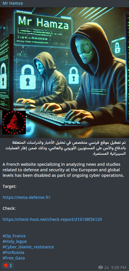 Mr Hamza Targeted the Website of Meta-Defense Sas