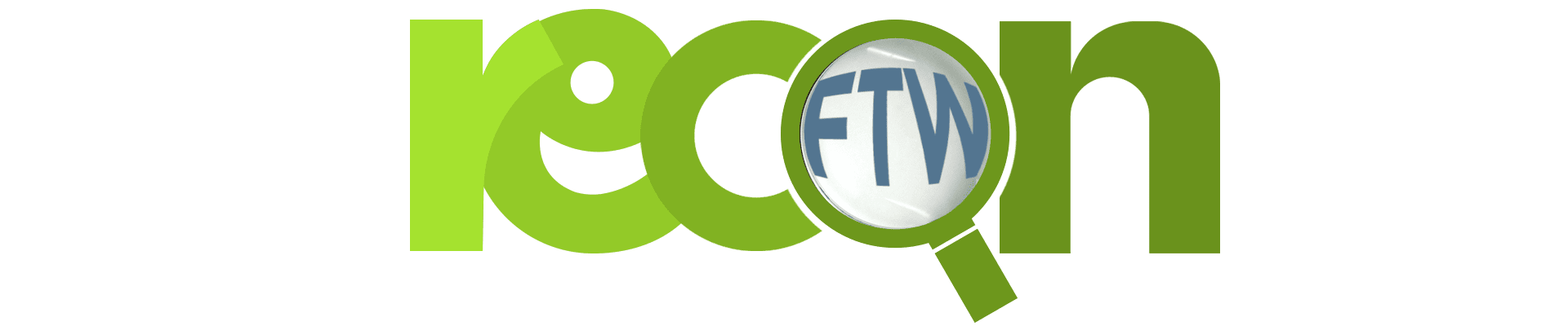 reconFTW: The Ultimate Tool for Automated Domain Reconnaissance and ...