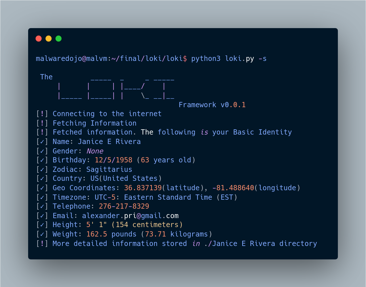 Loki: Command Line Sock Puppet Creator for Investigators